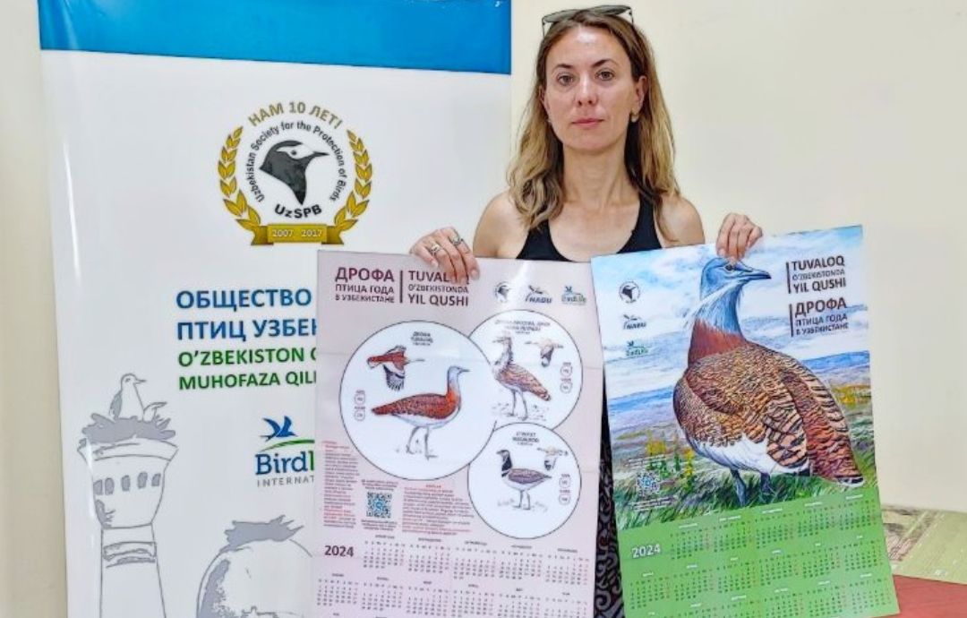 Начата работа над проектом по сохранению большой дрофы, которая не ...